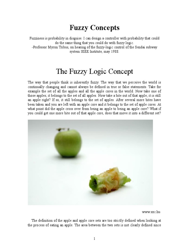 Fuzzy Lectures | PDF | Fuzzy Logic | Function (Mathematics)