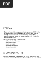 Hanifin and Rajka Criteria | PDF