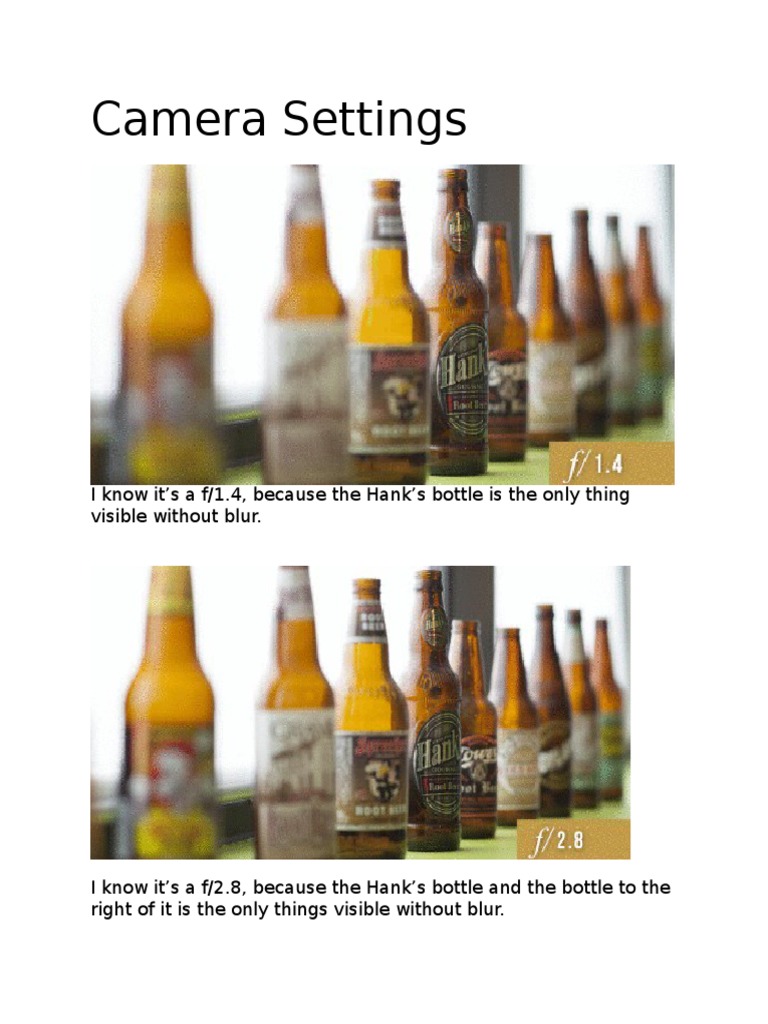 Camera Settings | PDF