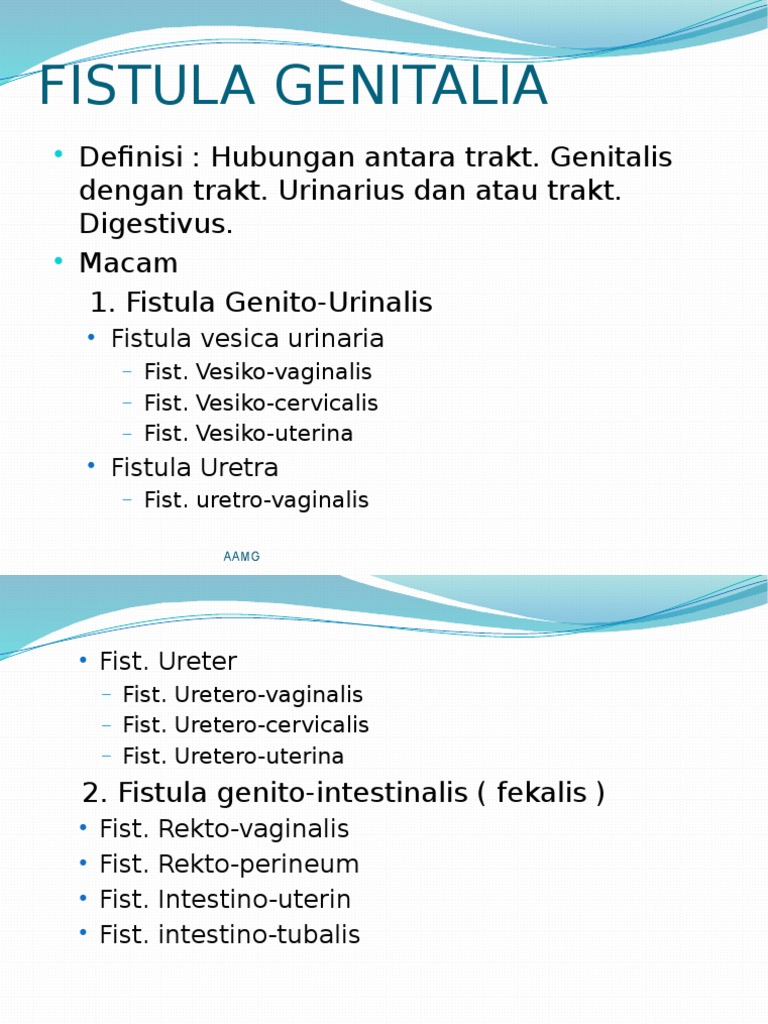 16.fistula Genitalia (DR Bambang Suyono) | PDF