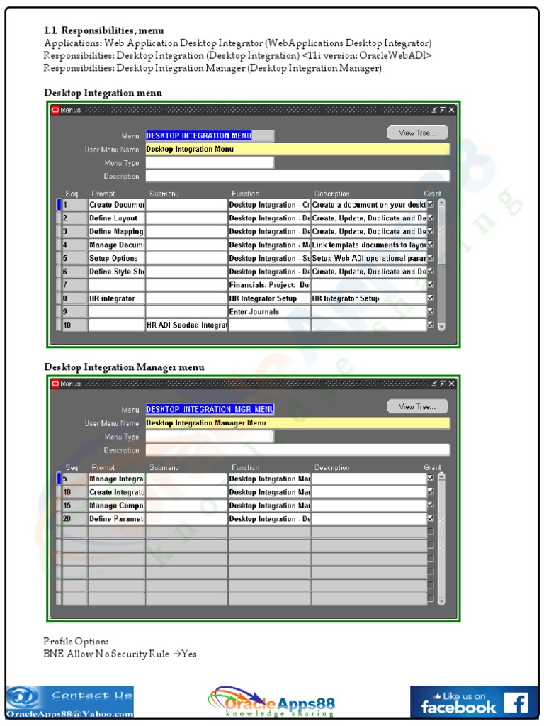 Oracle Web ADI | Application Programming Interface | Parameter (Computer Programming)