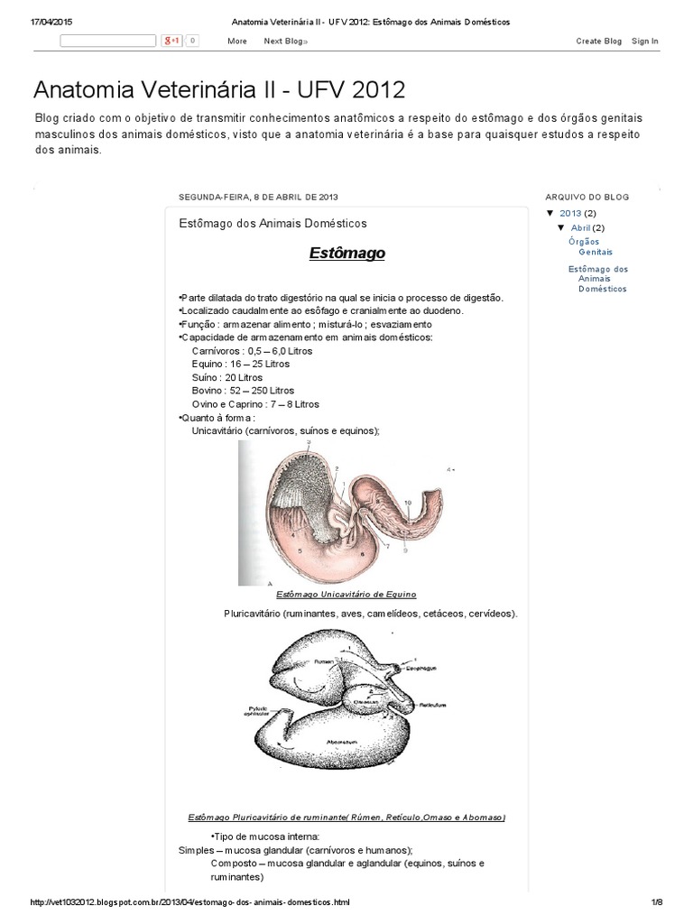 Anatomia Veterinária II - UFV 2012 - Estômago Dos Animais Domésticos | PDF | Estômago | Sistema ...