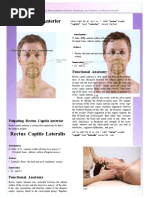 Facial Grading System | PDF | Face | Medical Specialties