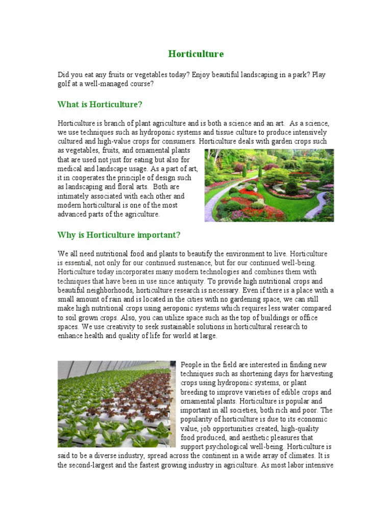 Horticulture | PDF | Horticulture | Hydroponics