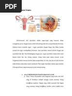 Organ Reproduksi Wanita: Fungsi dan Struktur | PDF