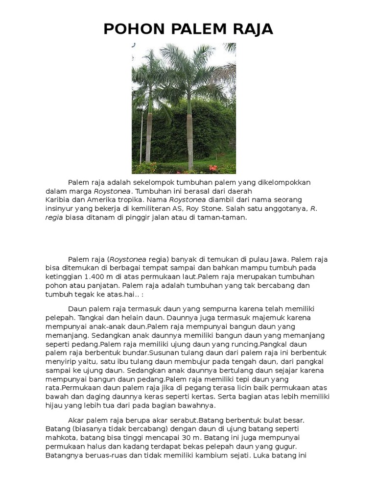 Pohon Palem Raja X Mia 1 | PDF