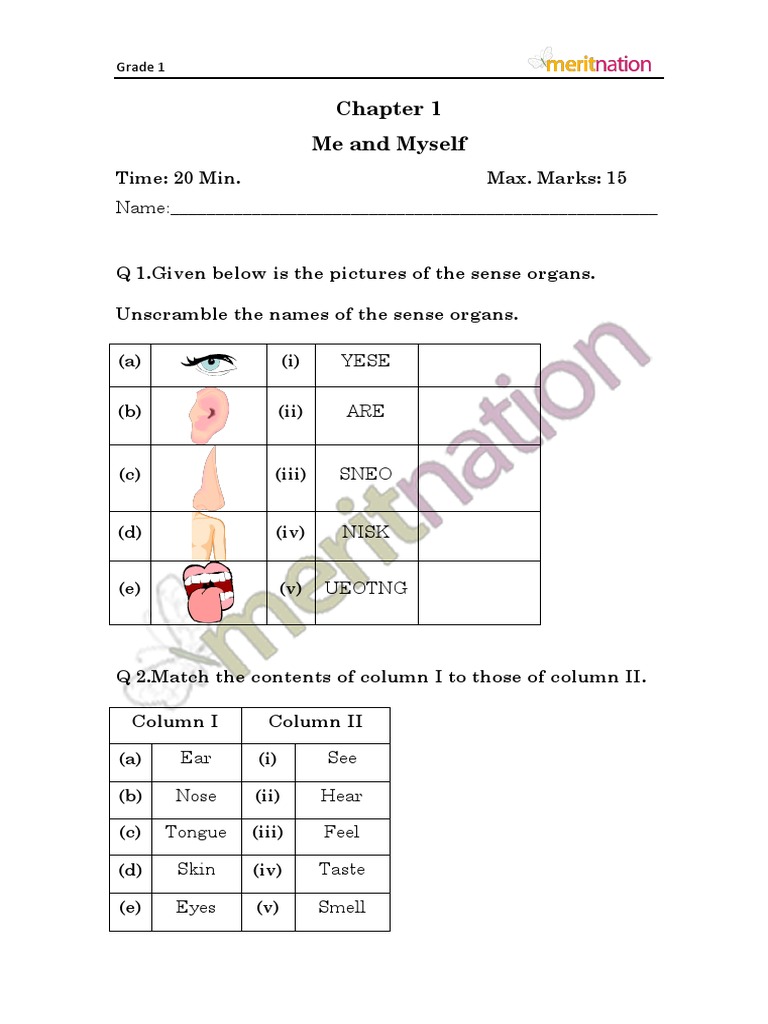 EVS Me and Myself WorkSheet | PDF | Senses | Subjective Experience