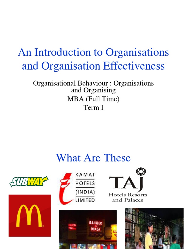 An Introduction To Organisations and Organisation Effectiveness | PDF
