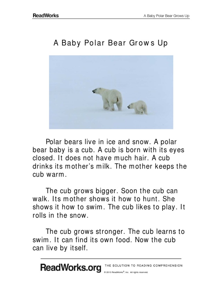 260 A Baby Polar Bear Grows Up PDF | PDF