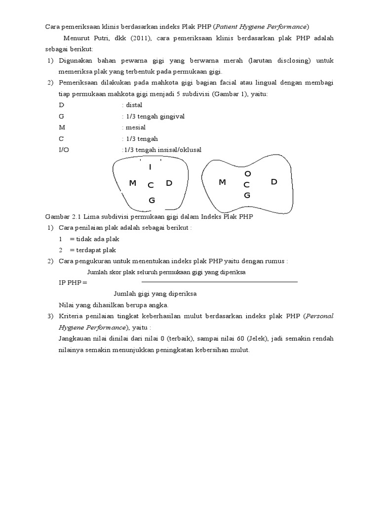 Cara Pemeriksaan Klinis Berdasarkan Indeks Plak PHP | PDF