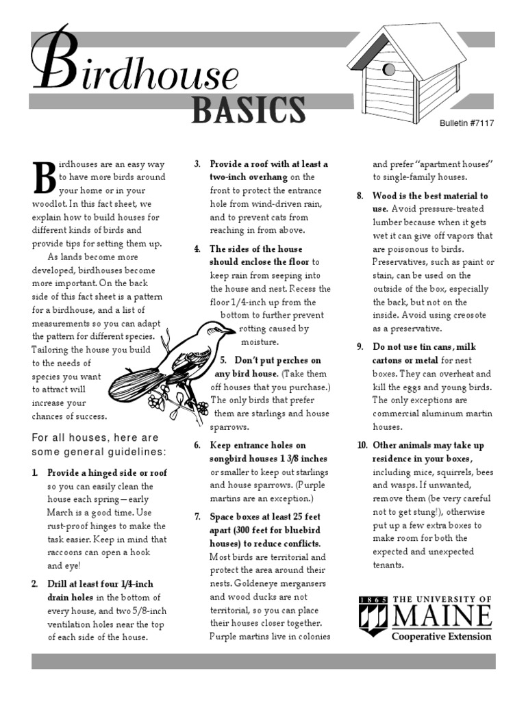 Building Bird Houses | PDF | Nest | Birds