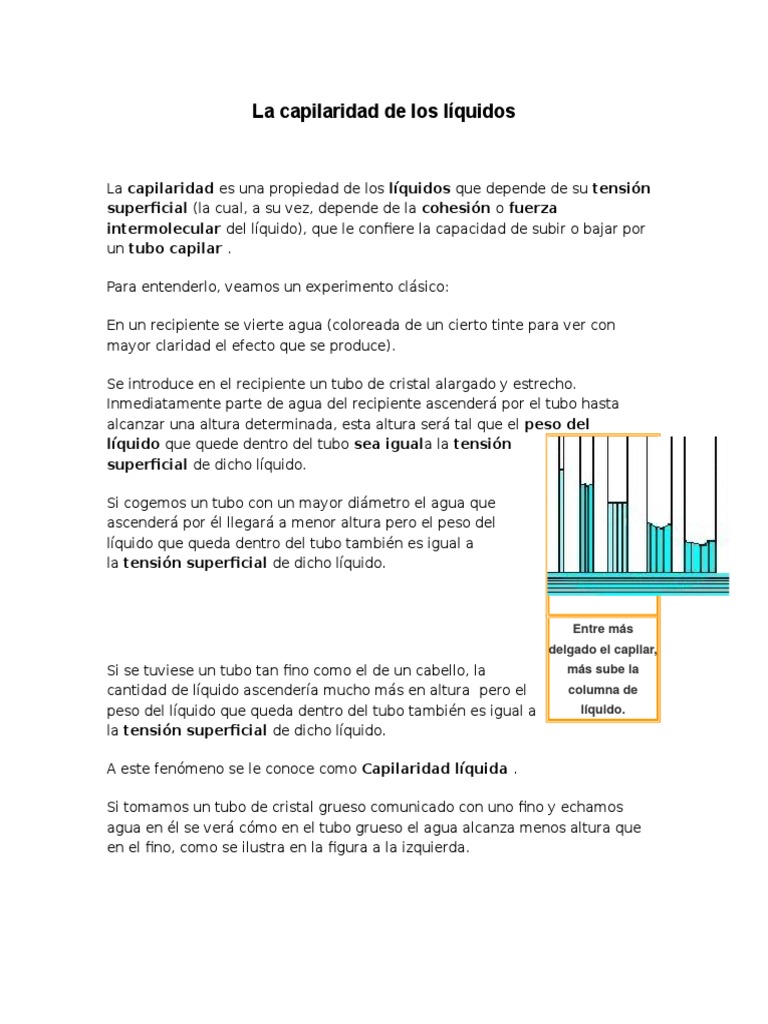 Capilaridad de Líquidos: Ejemplos y Ley de Jurin | PDF | Mecánica de ...