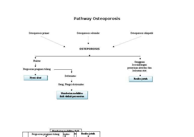 Pathway Osteoporosis | PDF