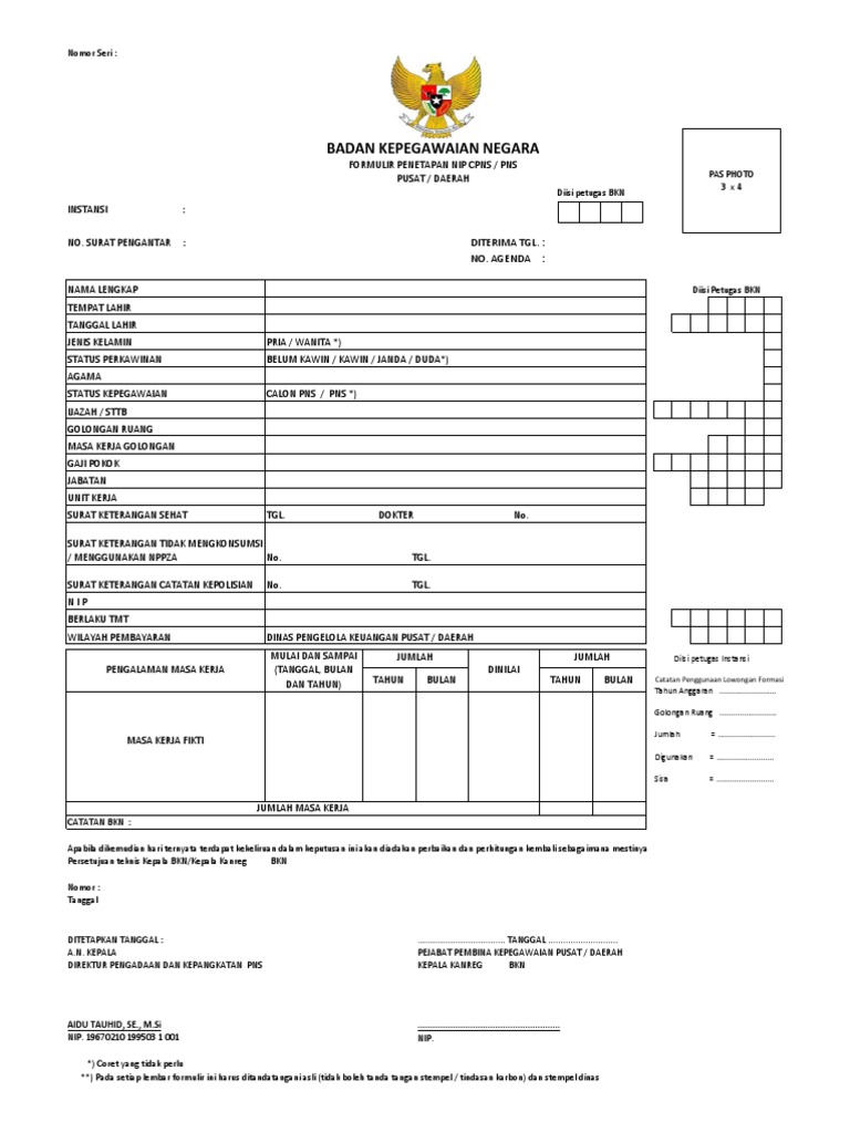 Formulir Penetapan Nip Cpns | PDF