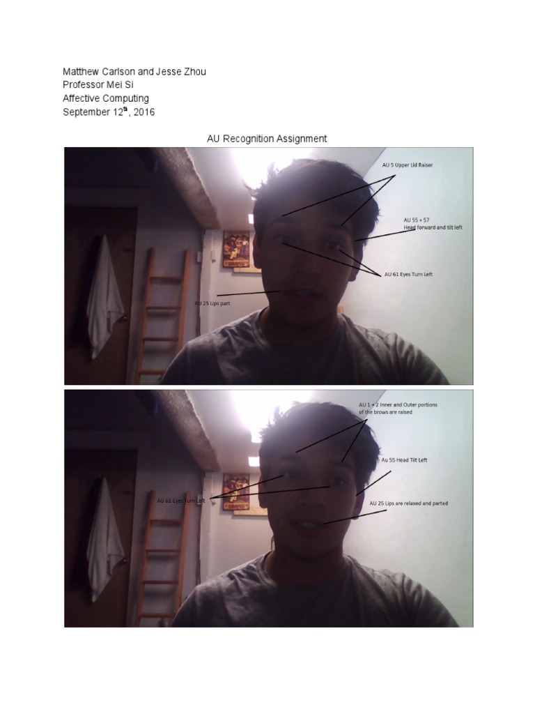 Matthew Carlson and Jesse Zhou Professor Mei Si Affective Computing ...