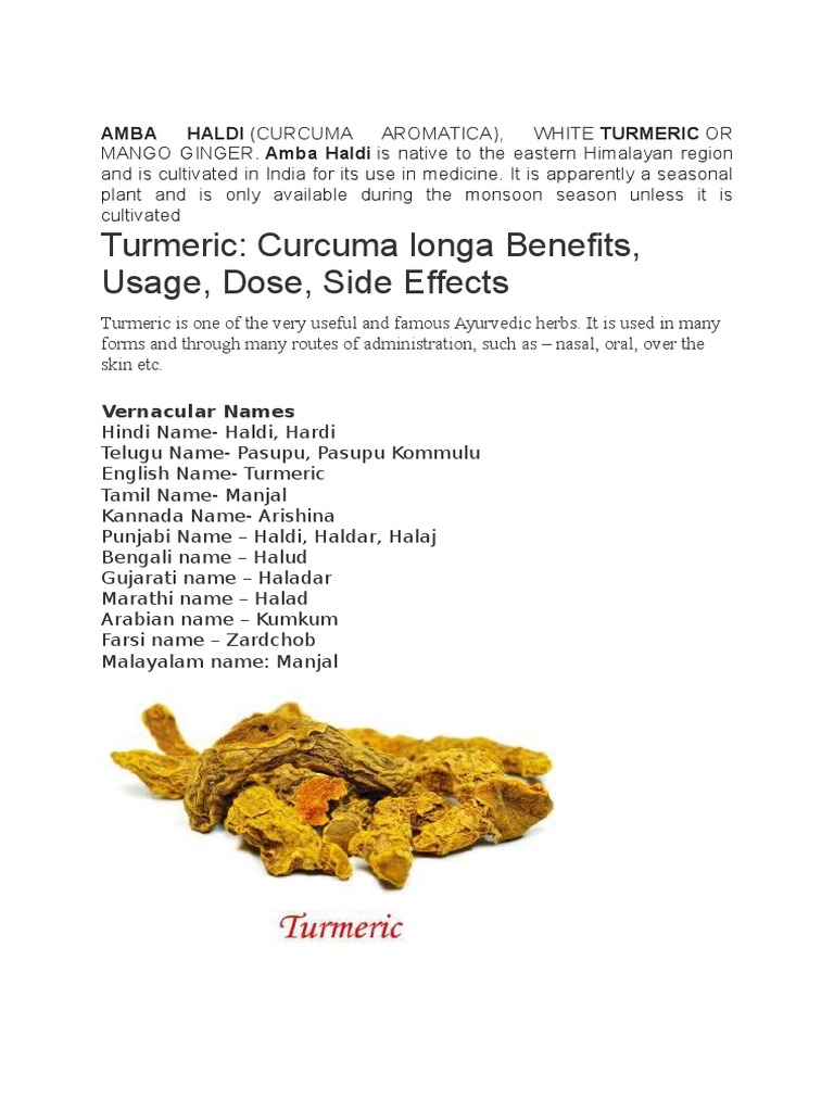 Amba Haldi | PDF | Turmeric