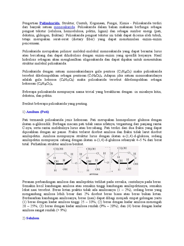 Pengertian Polisakarida | PDF