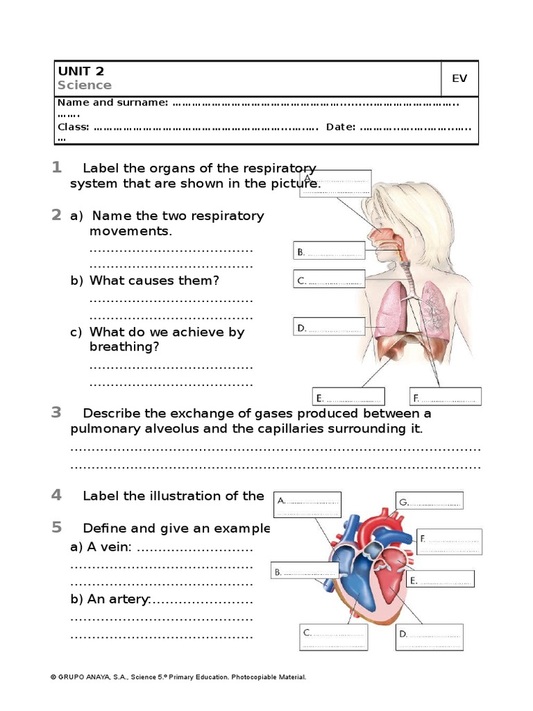Science: Unit 2 | PDF