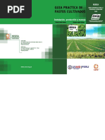 Ficha Técnica Del Pasto Imperial (Axonopus Scoparius, Hitchc) | PDF ...