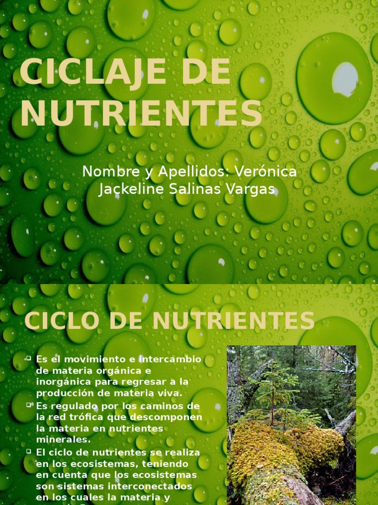 Ciclo de Nutrientes en Ecosistemas | PDF | Salud y bienestar