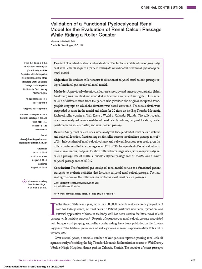 Validation of A Functional Pyelocalyceal Renal Model For The Evaluation ...
