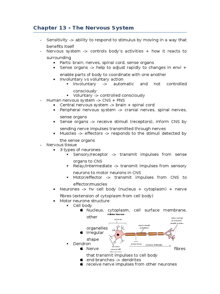 O Level Biology Notes | PDF | Axon | Nervous System