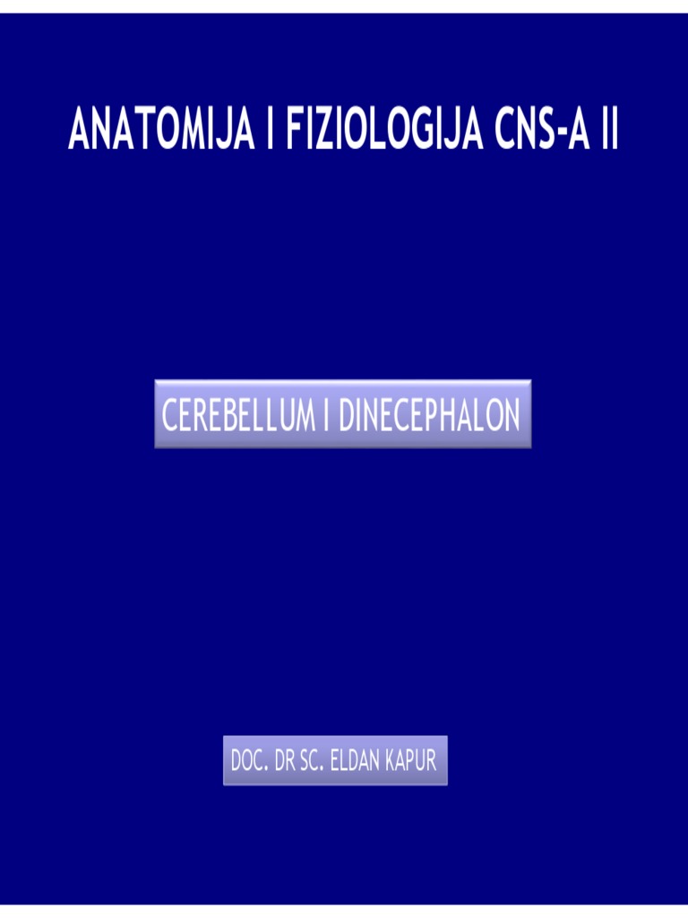Anatomija I Fiziologija CNS-a 2 | PDF