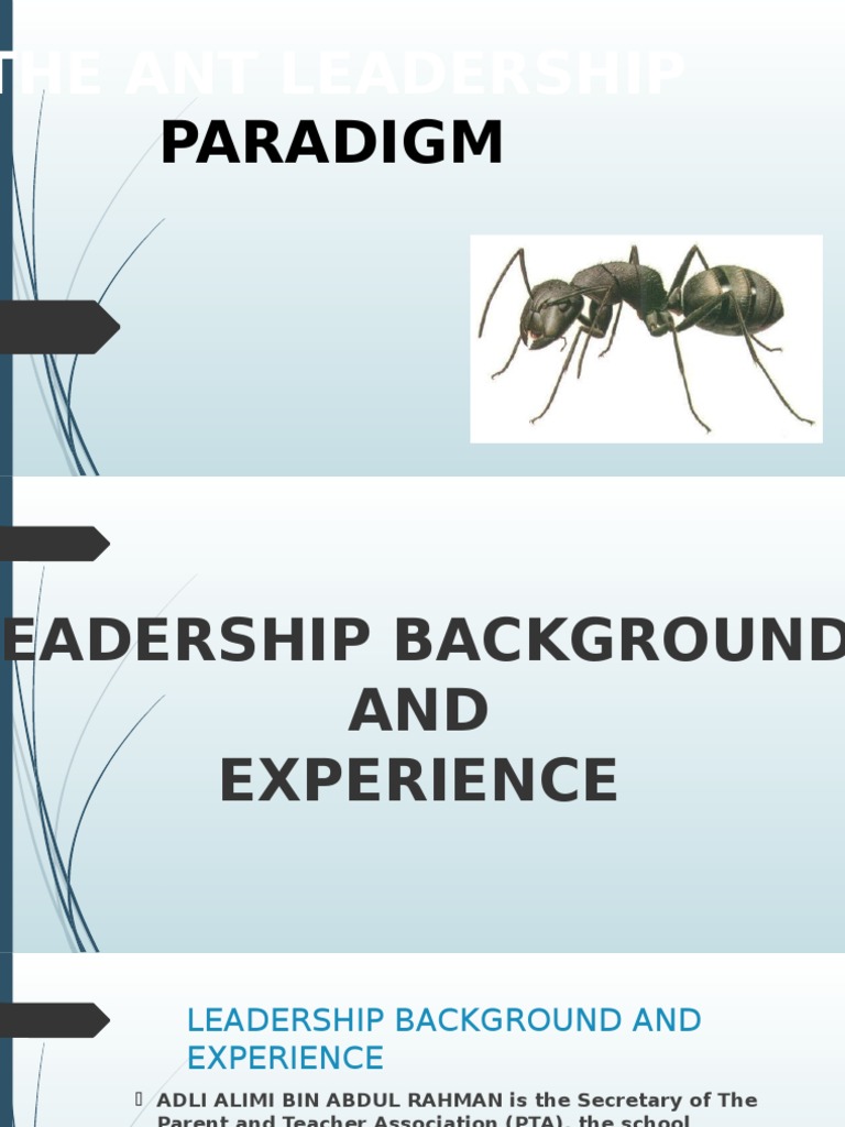 Ant Paradigm Presentation | PDF | Ant | Leadership