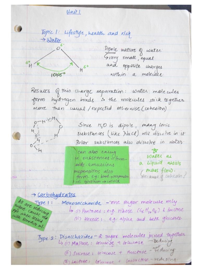 Edexcel Biology Unit 1 Notes