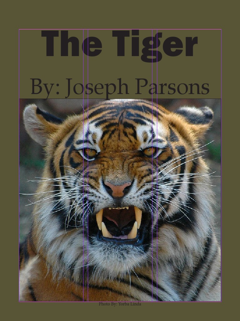 Tiger | PDF | Tiger | Wild Boar