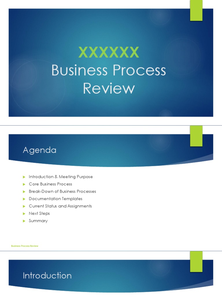 Business Process Overview Meeting Template PDF | PDF