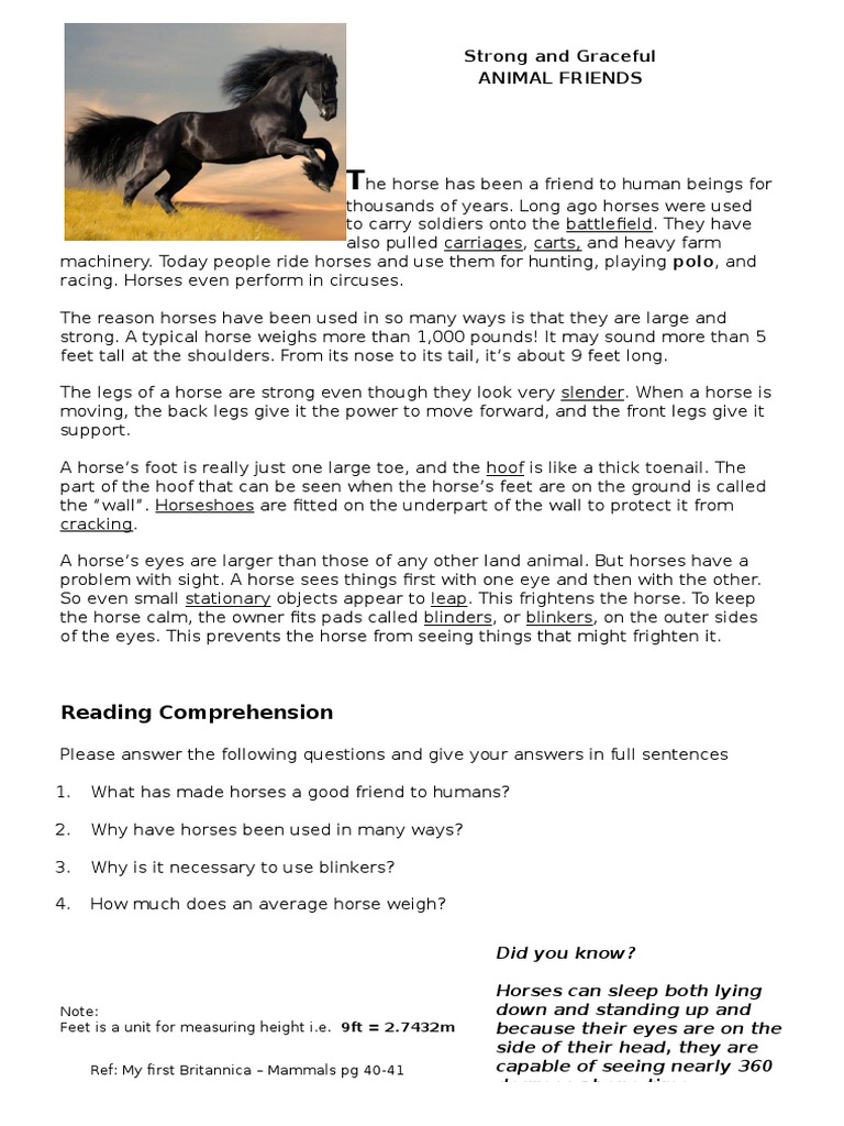 Horses The Graceful Friends All in One Lesson Plan | PDF | Horses ...