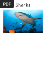 Engaging Cryptic Text Analysis | PDF