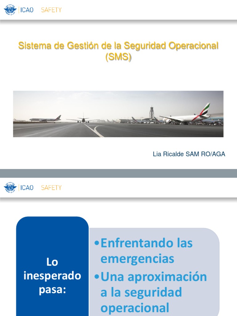 SMS Icao | PDF | Aeropuerto | La seguridad