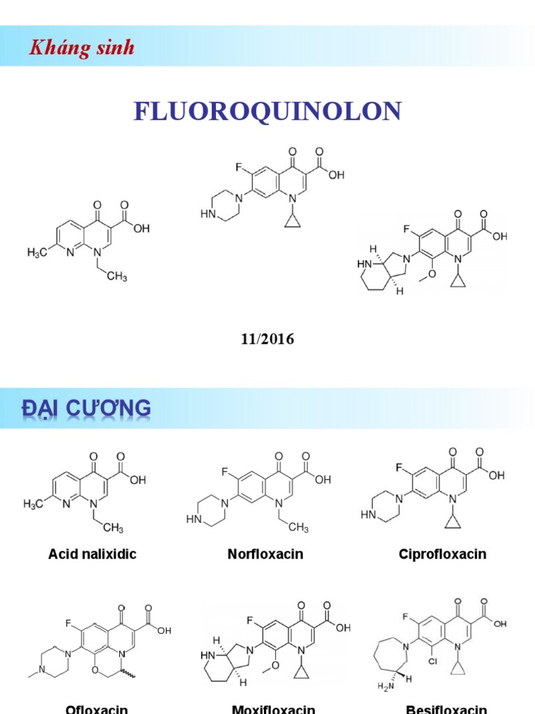 Seminar Fluoroquinolon