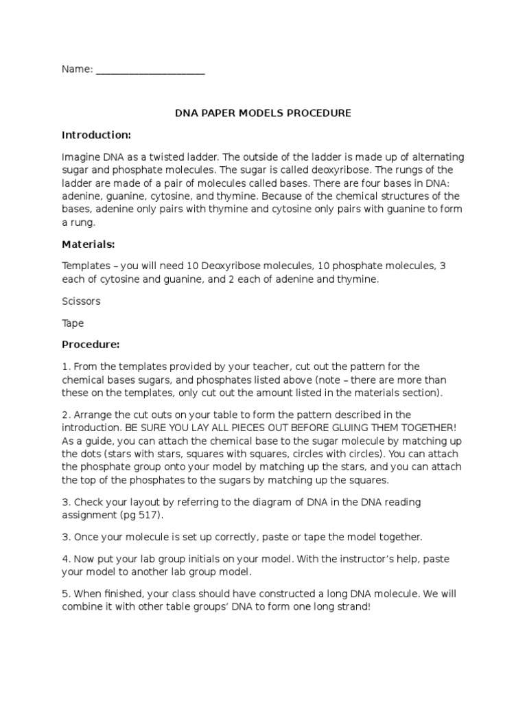 Dna Paper Models Activity | Nucleotides | Dna