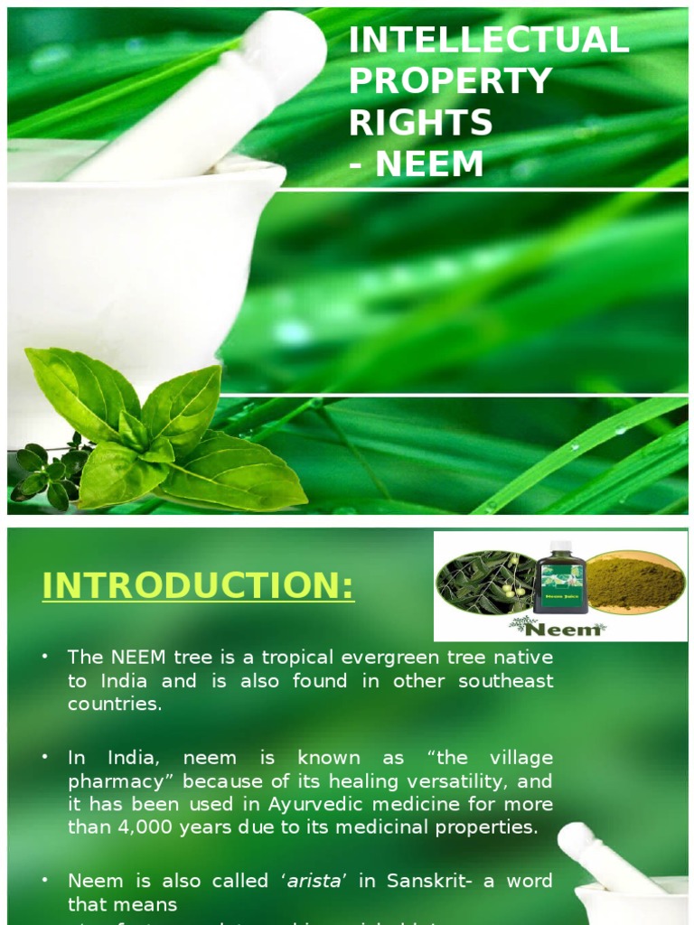Intellectual Property Rights - Neem | Patent | Monopoly (Economics)