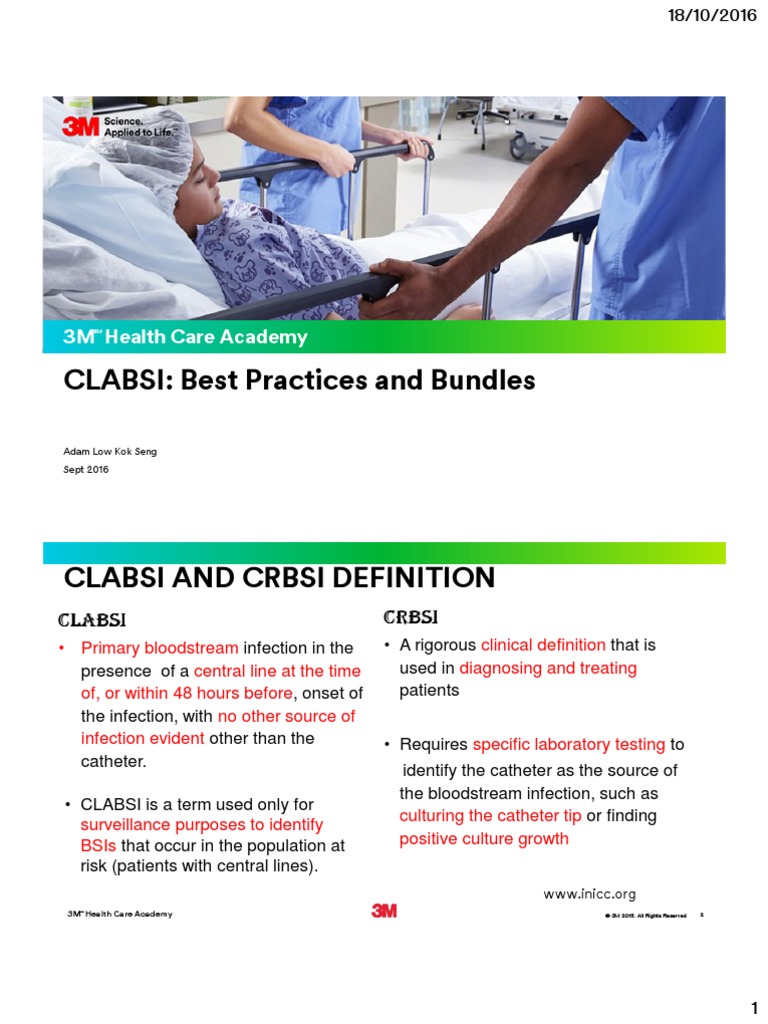 Adam Low - CLABSI Best Practice and Bundles | PDF | Intravenous Therapy ...