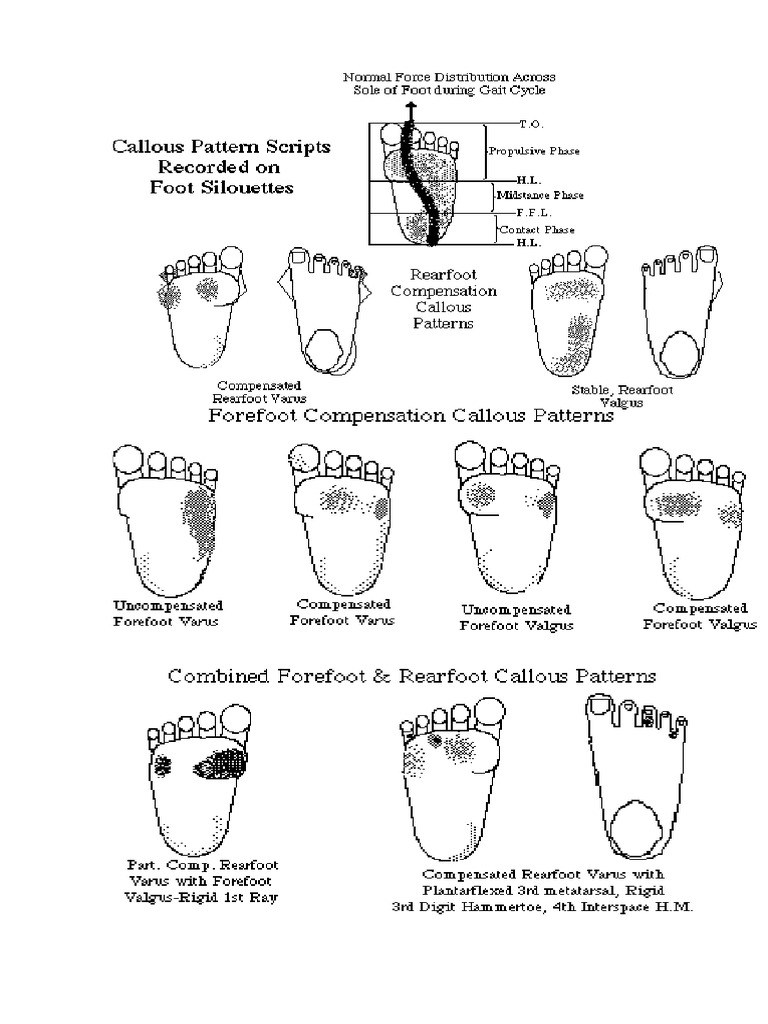 Callus Patterns | PDF