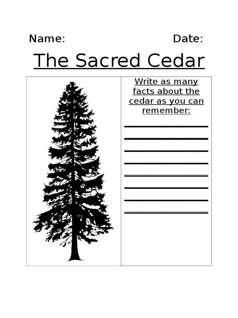 The Sacred Cedar: Name: Date | PDF