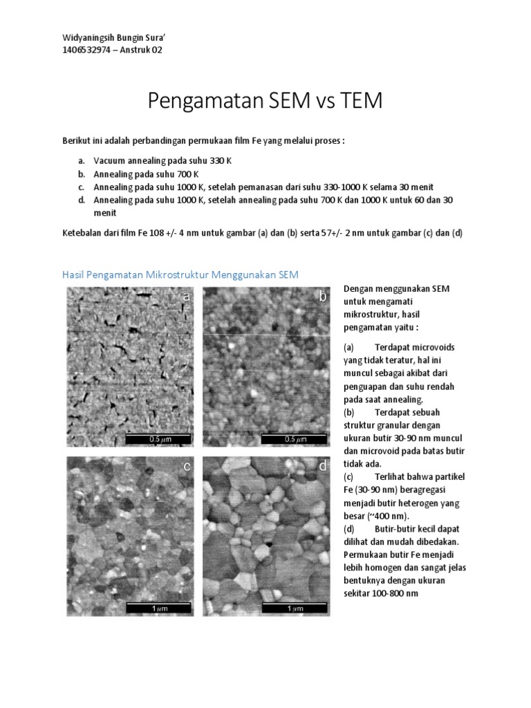 SEM Vs TEM | PDF | Teknologi & Rekayasa