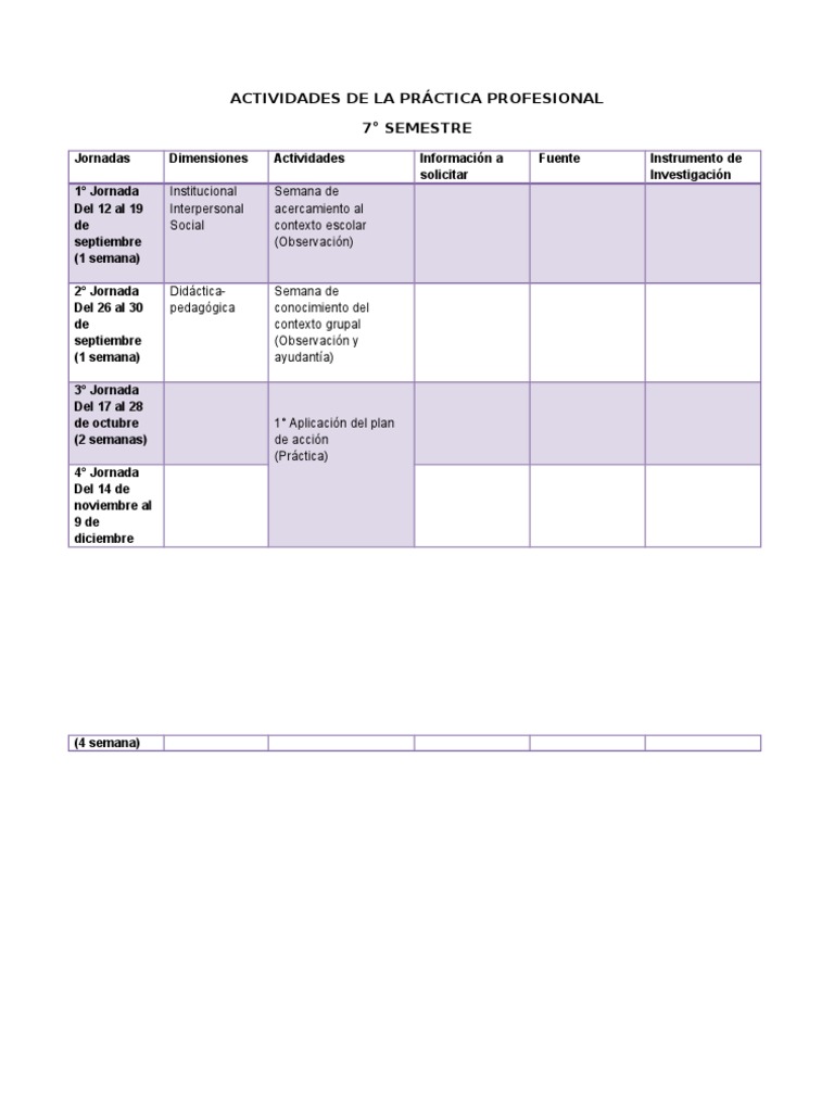 Actividades de La Práctica Profesional | PDF