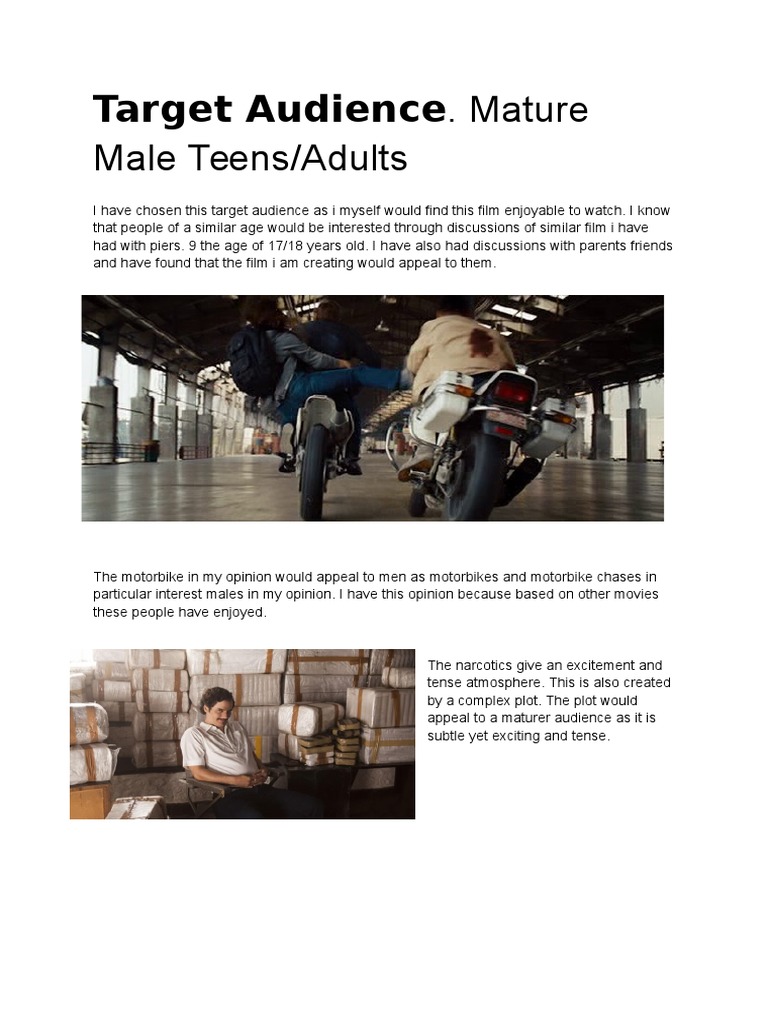 Target Audience | PDF