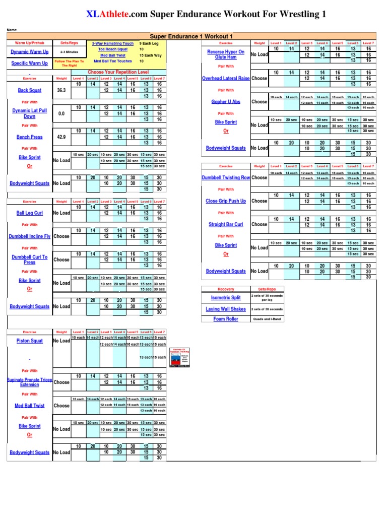 Workout - Sheet - Wrestling Super Endurance 1 - 1477757519824 PDF | PDF ...