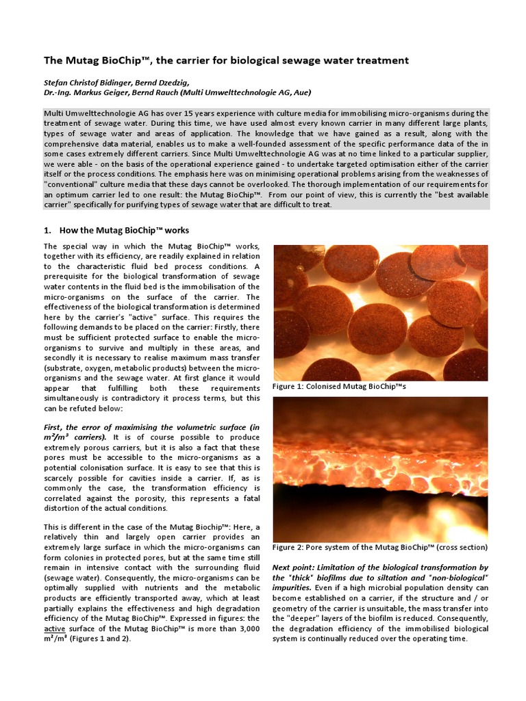 Mutag Biochip TM Article 05-May-10 PDF | PDF | Sewage Treatment | Porosity