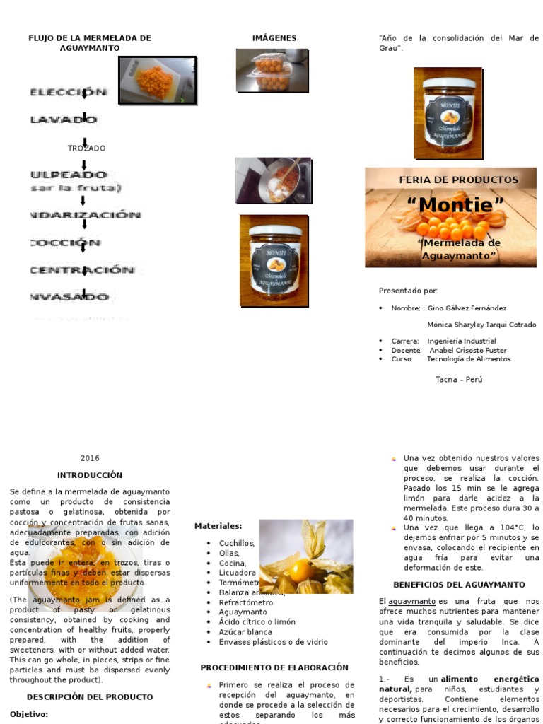 Tríptico - Mermelada Montie de Aguaymanto | PDF | Especialidades Medicas | Bienestar