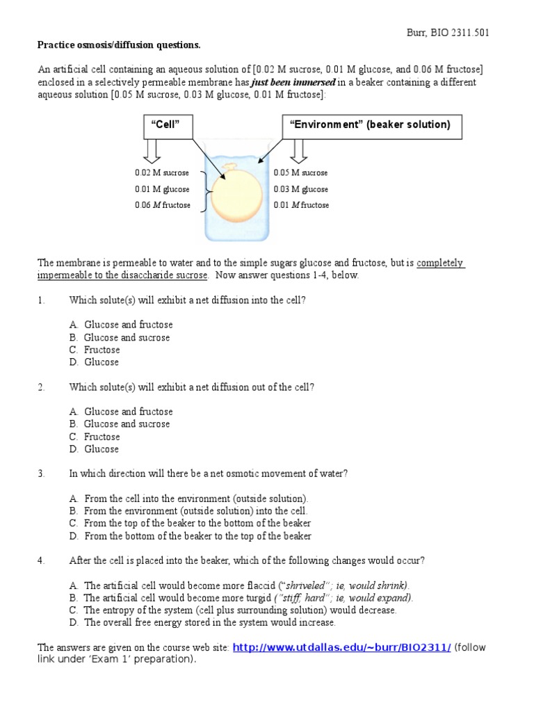 Osmosis and Diffusion Practice Questions | PDF
