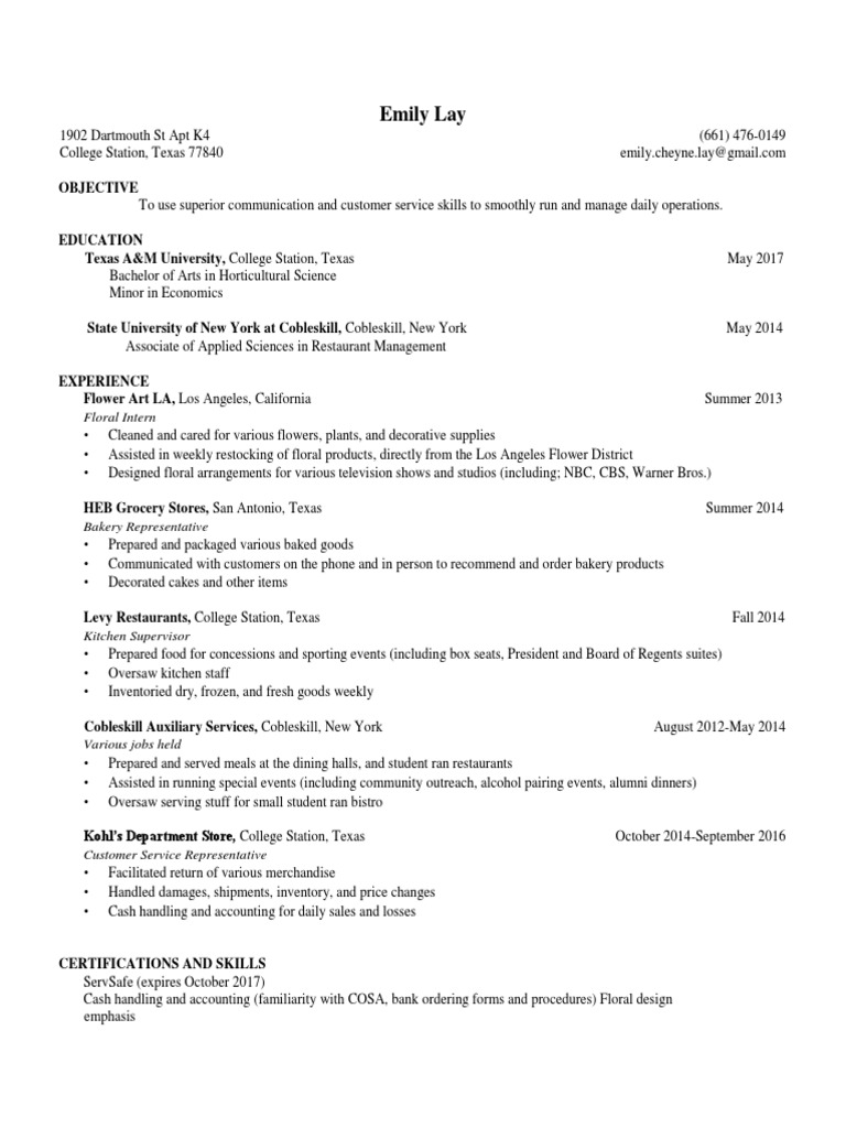Lay Resume Sept22 | PDF | Art