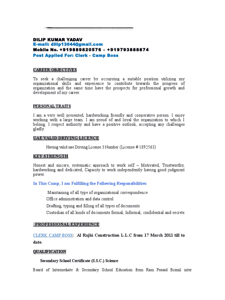 Dilip Camp Boss Cv. | PDF