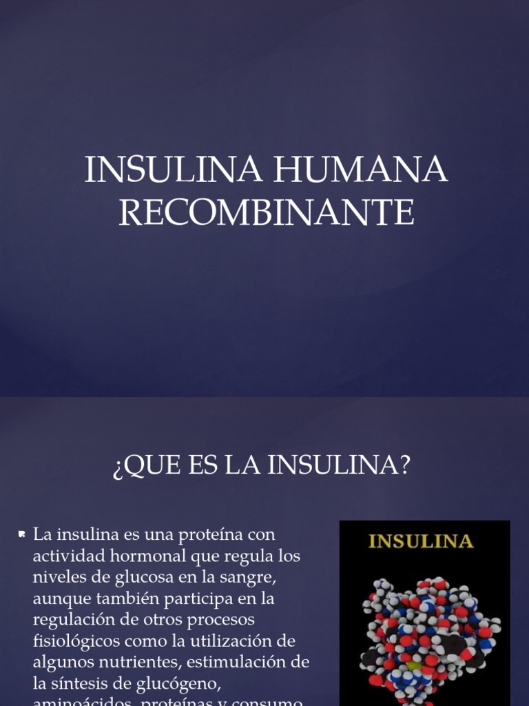 Insulina Humana Recombinante | Plásmido | Adn